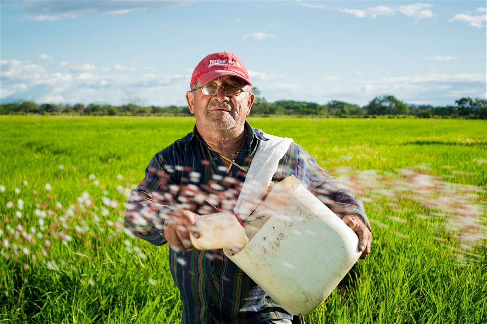 Pourquoi les agriculteurs utilisent-ils des pesticides? Pourquoi les agriculteurs utilisent-ils des pesticides?